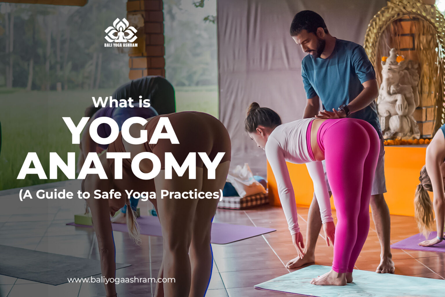 What is Yoga Anatomy - A Guide to Safe Yoga Practices